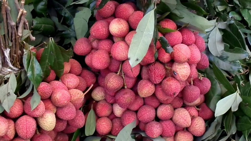 Litchi Health Benefits and Side Effects | Minciter