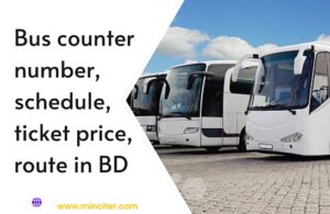 Miami Bus Counter number, Ticket Price, and Schedule